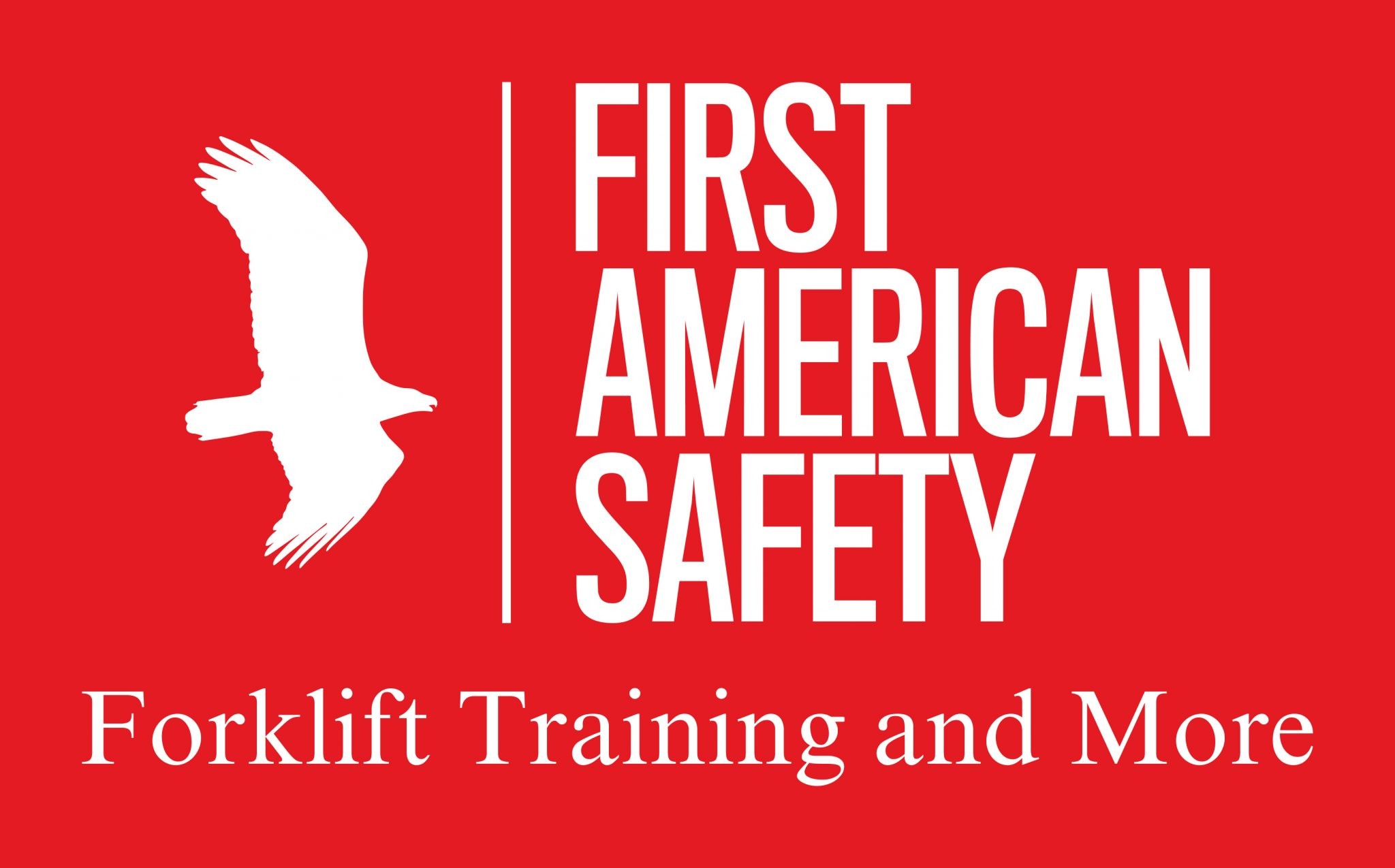 Job Made Ladder Safety Overview