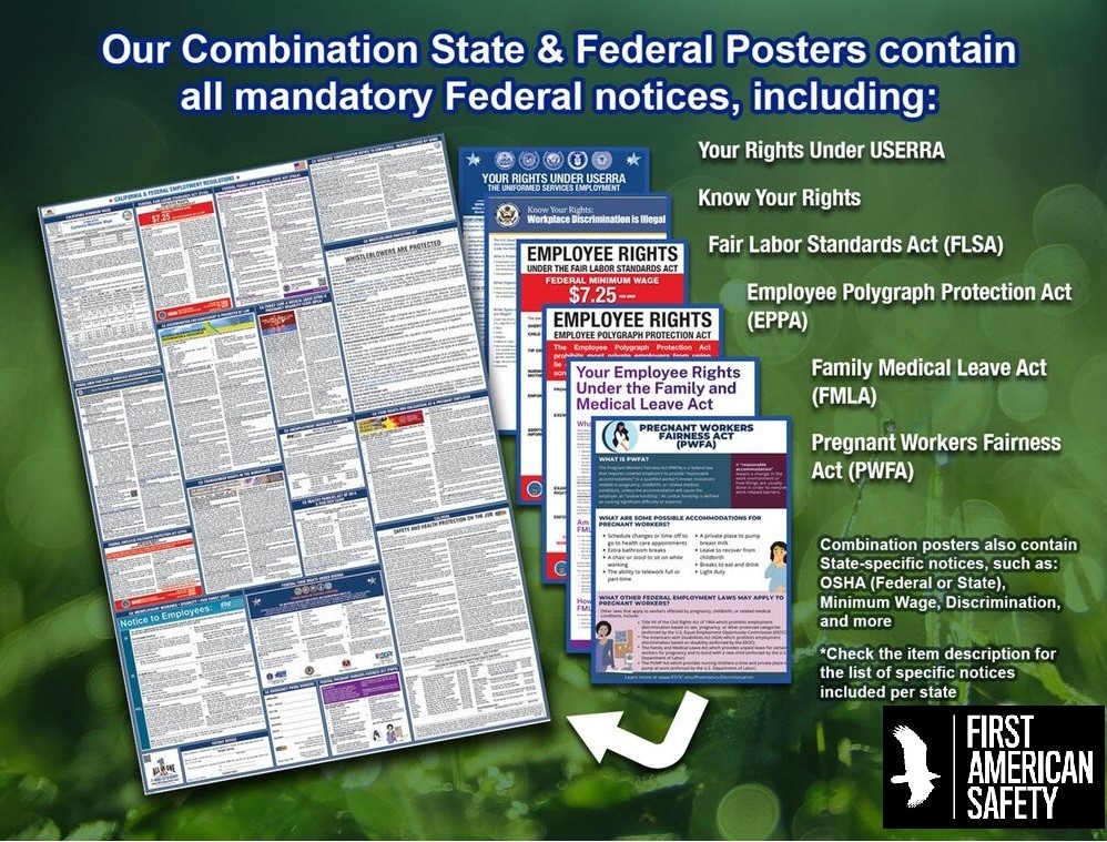 2025 Idaho State and Federal Combo Poster - First American Safety
