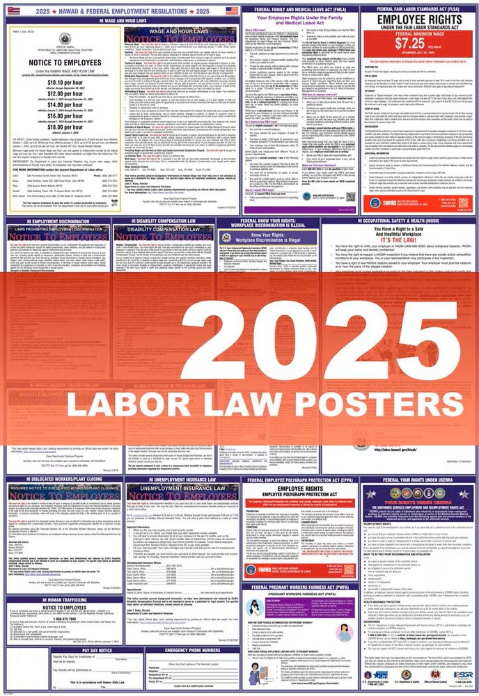 2026 Hawaii State and Federal Combo Poster - First American Safety